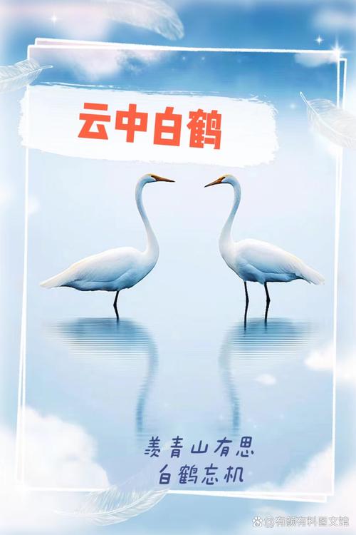 白鹤辅助器手机版图标