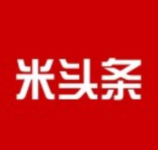 米头条app截图