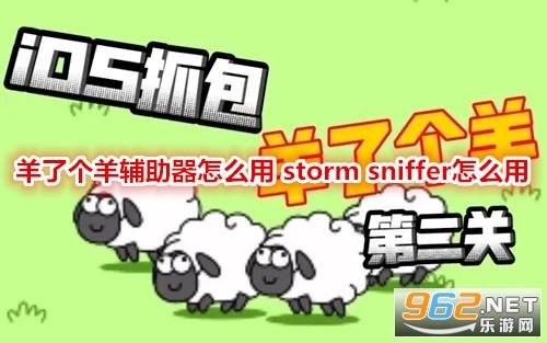 storm sniffer羊了个羊抓包工具图标
