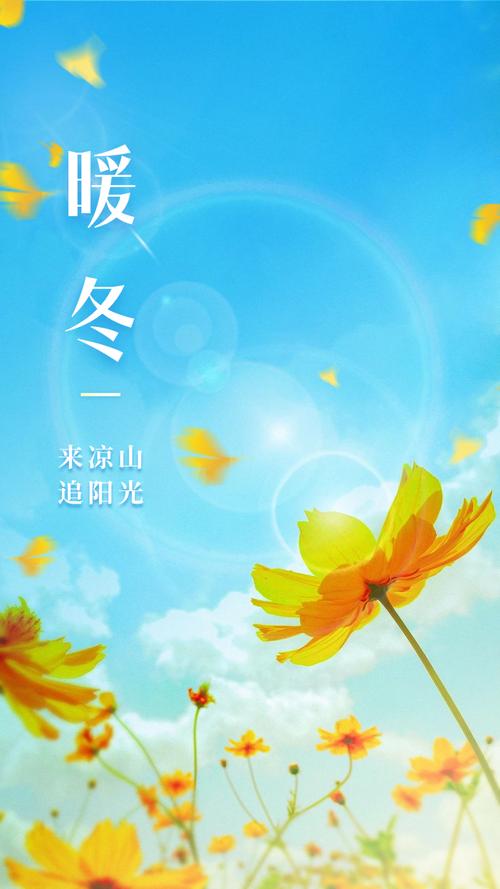初冬暖阳安卓下载