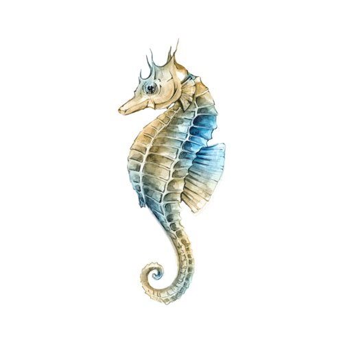 海马有金（趣味赚钱）截图