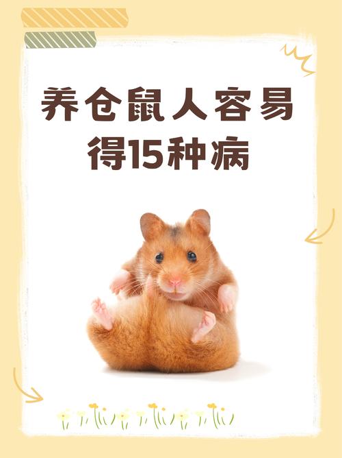 仓鼠2048红包版截图