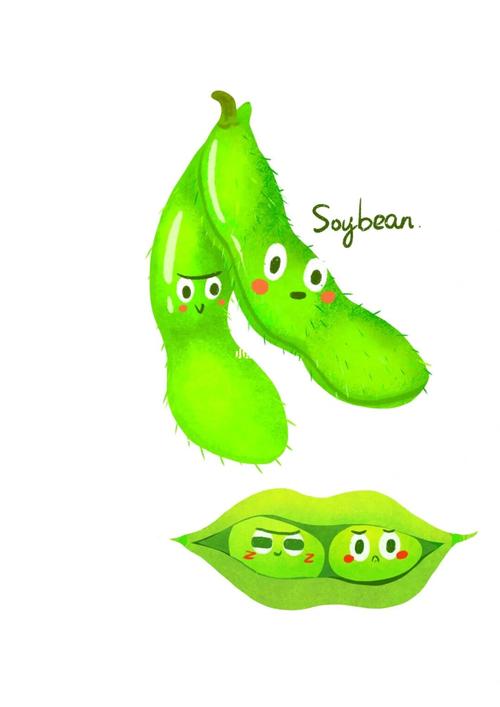 毛豆ai绘图