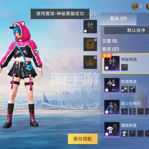 和平精英黑猫辅助v2.0截图