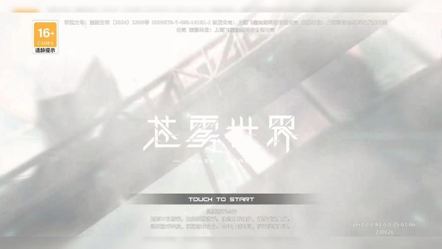 雾直装辅助器安装免广告
