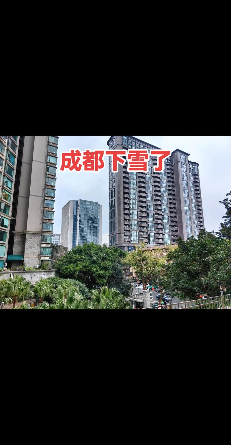 2021年成都第一场雪来了图片