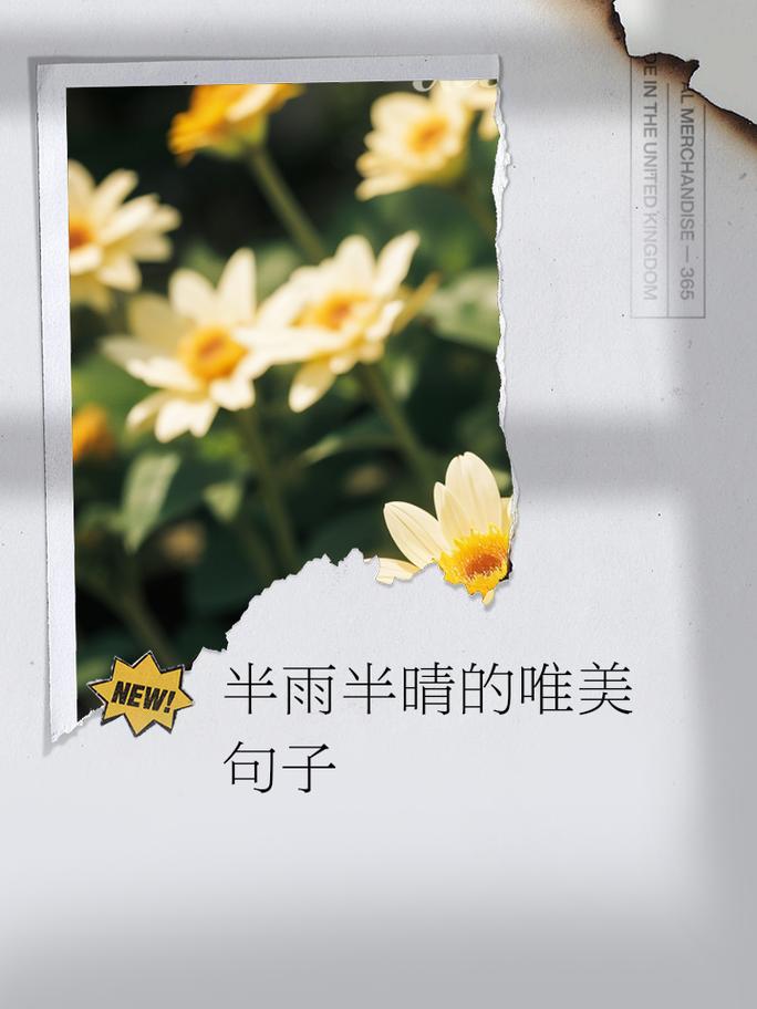 半雨
