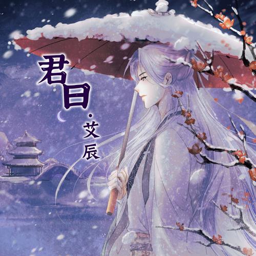 爱辰画质大师截图