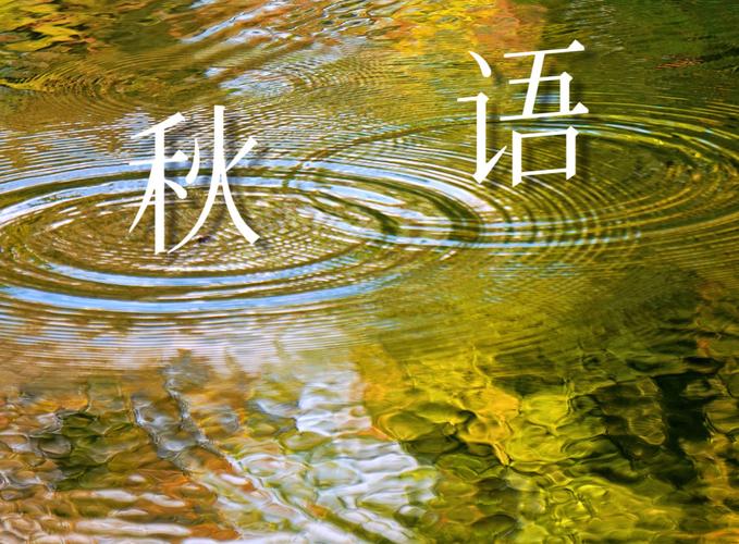 秋语一对一聊天图标