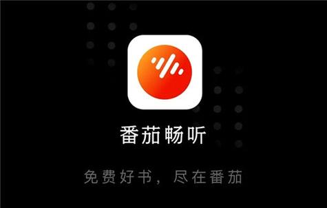 番茄畅听音乐版电视版黑色老版截图