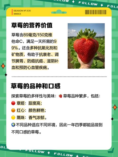草莓小说2020最新版