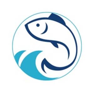 小鱼平台app截图