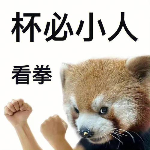 一锤打爆你截图