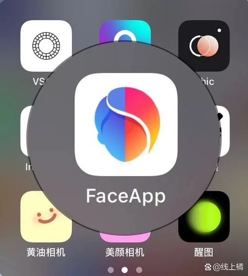 面部分析软件游戏截图