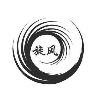 旋风旧版本下载截图