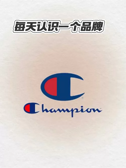 阿罗拉冠军截图