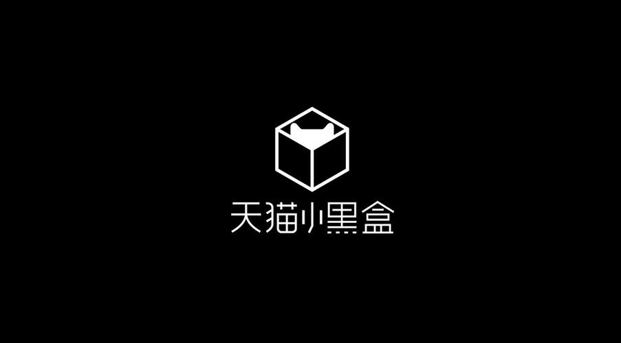 黑盒下载截图