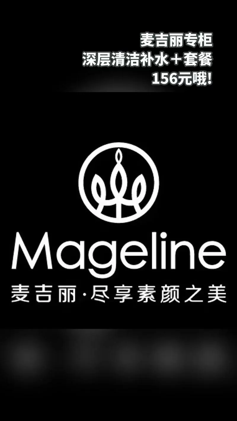 麦吉丽公司简介截图