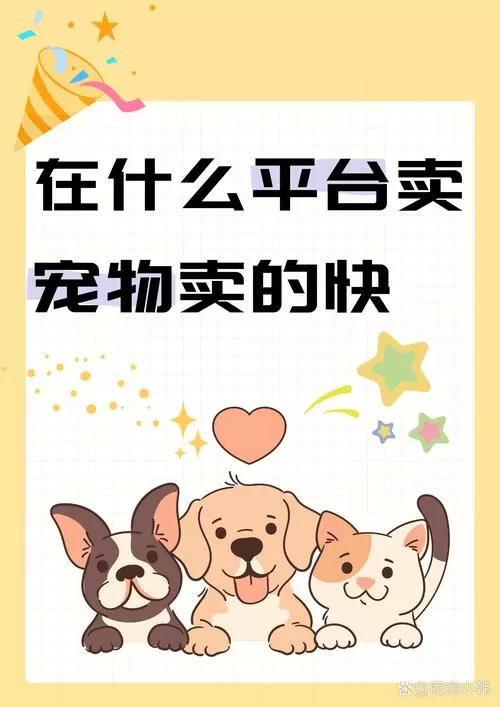 养狗卖狗怎么找销路图标