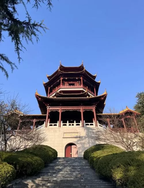 雨花阁引擎搜索入口截图