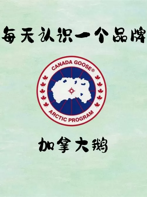 大鹅软件是干嘛用的图标