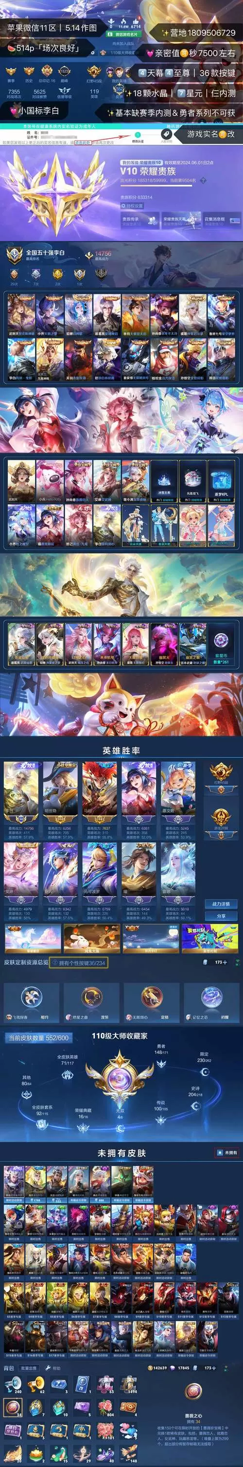 王者荣耀先锋服全皮肤截图
