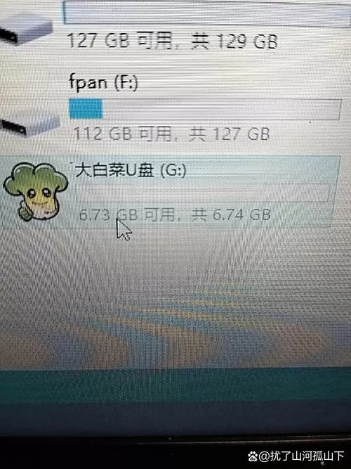 大白菜u盘启动手机版图标