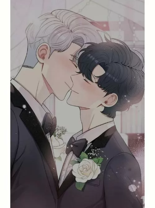 冬天之后的樱花漫画免费下拉图标