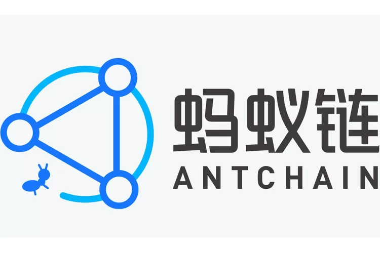 蚂蚁区块链截图