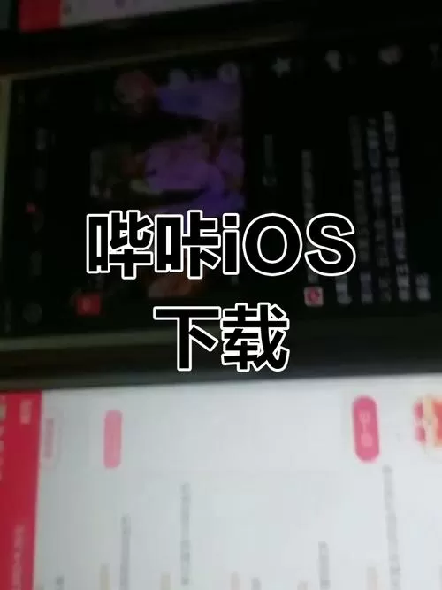 ios哔咔怎么进入图标