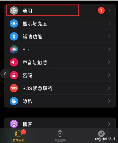苹果手表怎样退出id图标