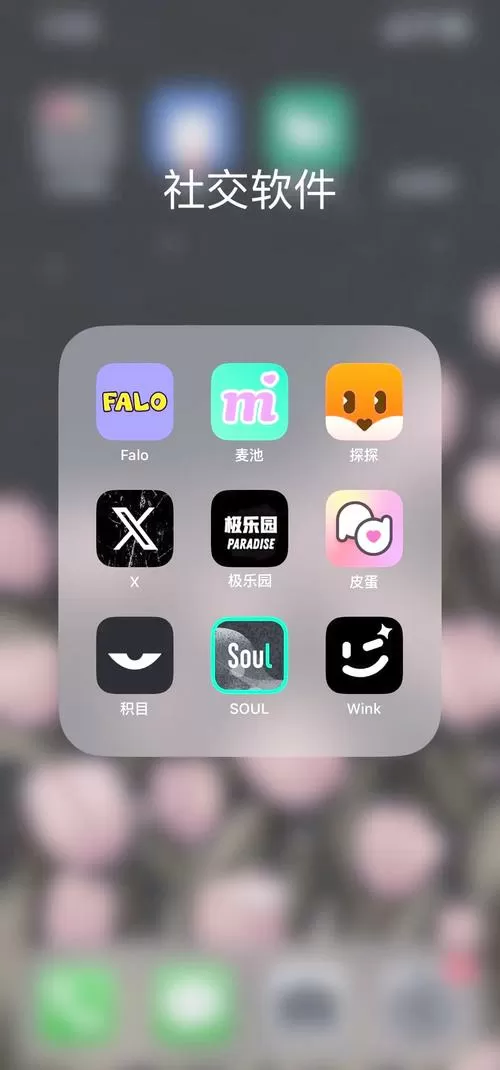 盘她交友软件图标