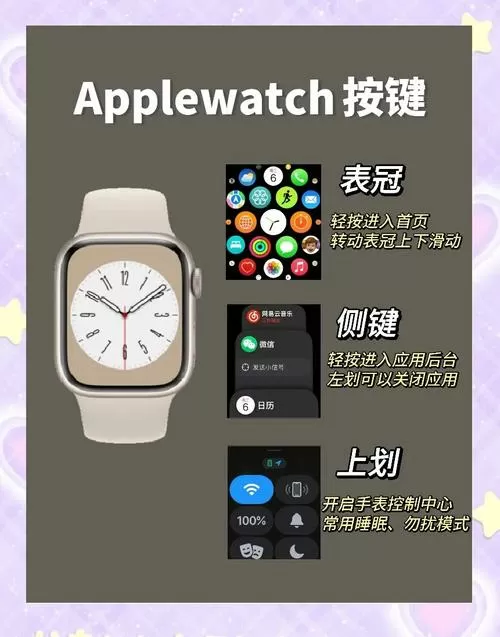 苹果手表设置在哪里图标