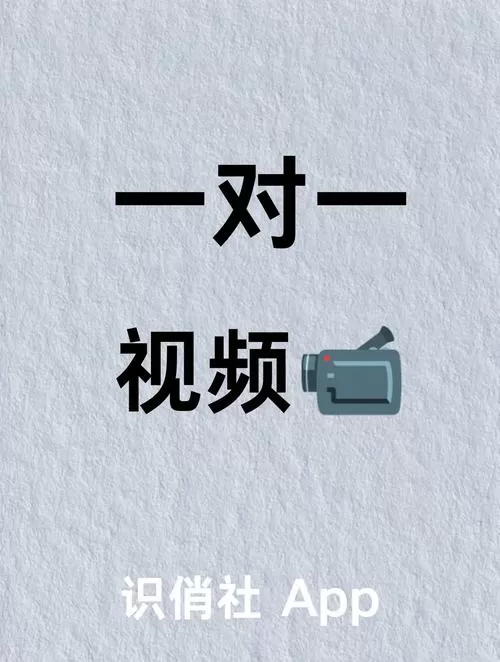 探你一对一视频聊天的软件截图