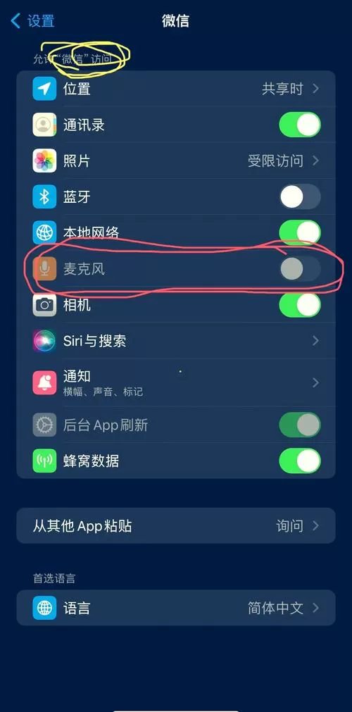 苹果手机找不到麦克风权限管理图标