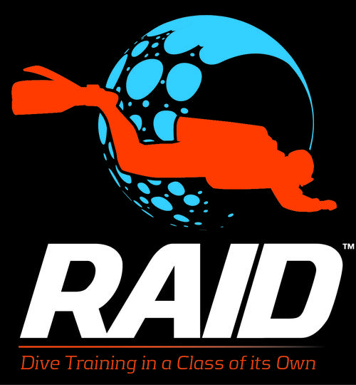 RaiDrive中文版
