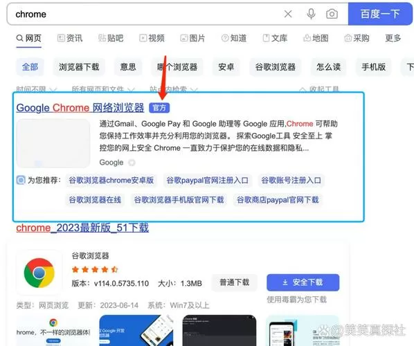 谷歌网页上的视频怎么下载到电脑截图