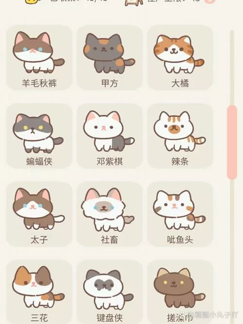 遇见你的猫有全网截图