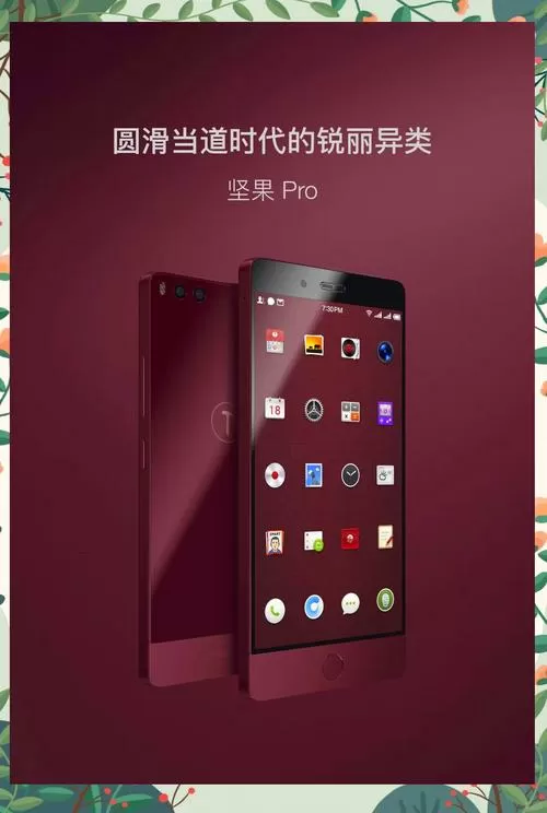坚果01pro截图