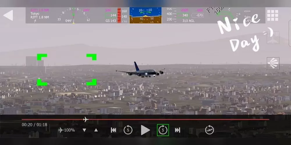 aerofly fs 2021,飞行模拟器