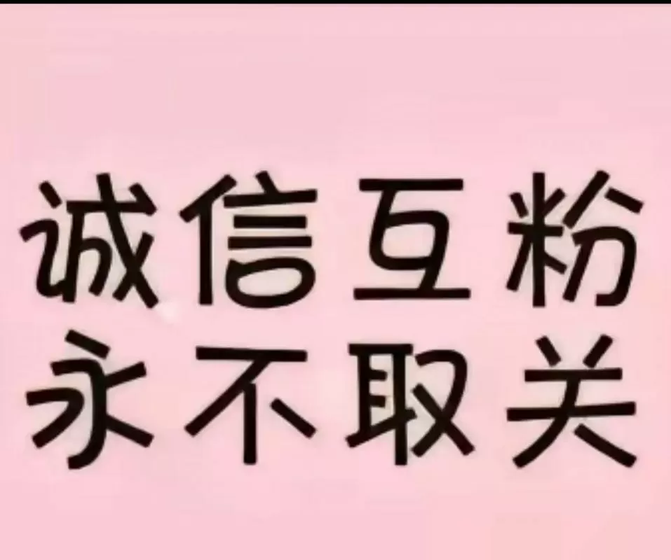 互粉宝最新版下载图标