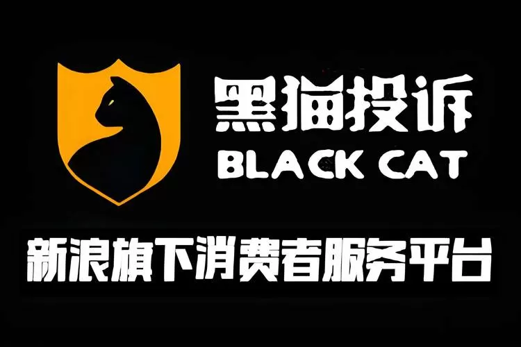 坏猫搜索免升级免广告破解版截图