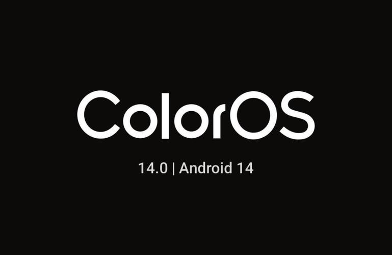 coloros开发者模式截图