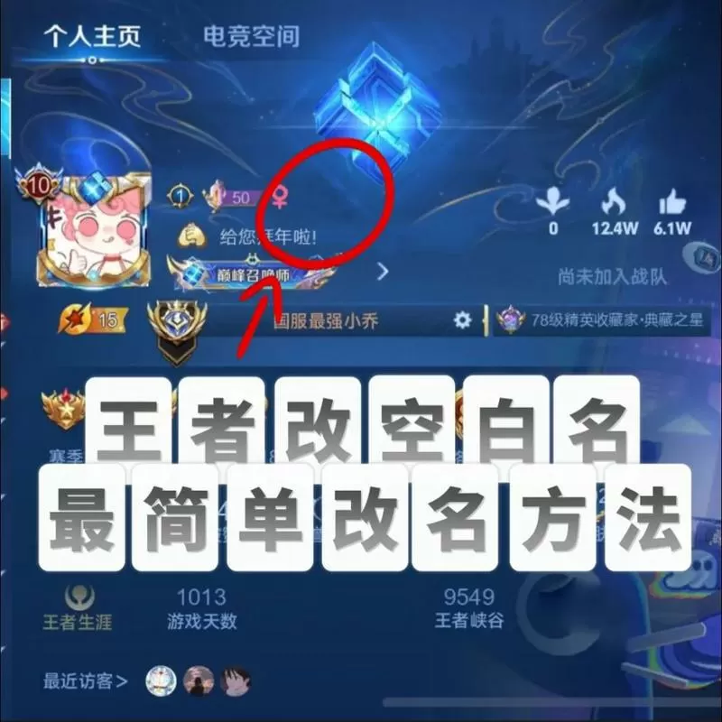王者荣耀id空白代码复制截图