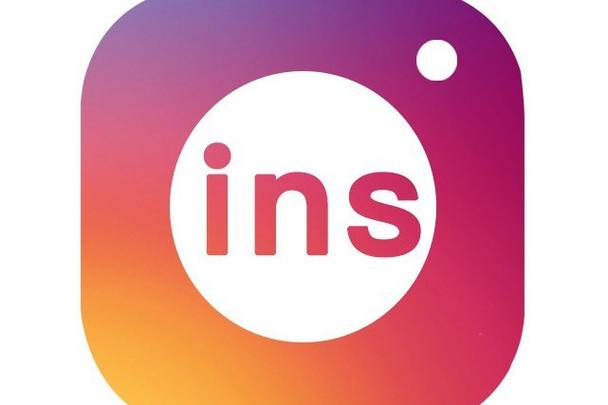 ins软件收费吗图标