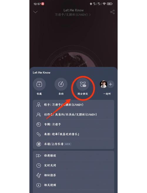 网易云怎么设置跳过vip音乐截图