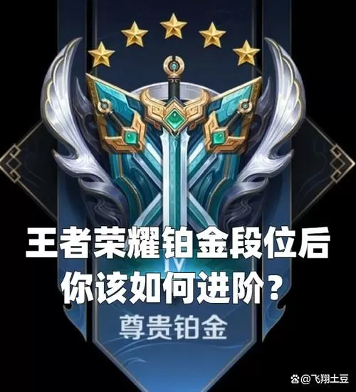 铂金黄金哪个段位更高图标