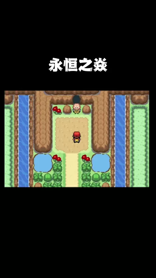 口袋妖怪永恒之焱三之岛攻略截图