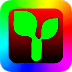 瑞合信简易版
