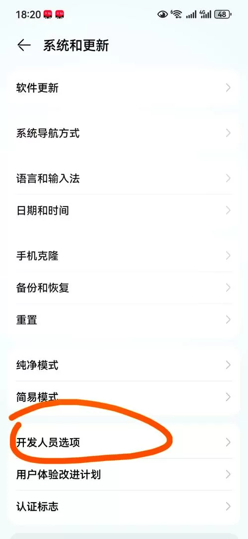 华为手机怎么没有显示5G截图